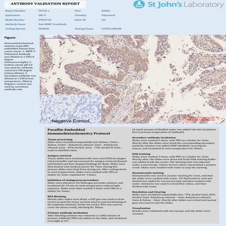 Immunohistochemistry Antibody Validation Report for Anti-MMP-9 Antibody (STJ96722) | PDF