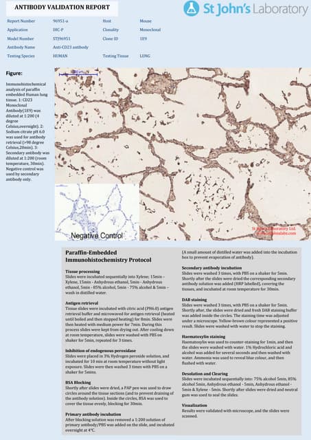 Immunohistochemistry Antibody Validation Report for Anti-CYCS Antibody ...
