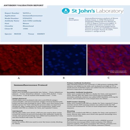 Antibody internalization asasay | PDF