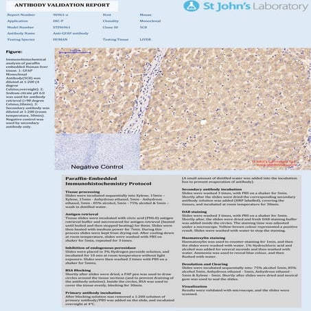 Immunohistochemistry Antibody Validation Report for Anti-GFAP Antibody ...