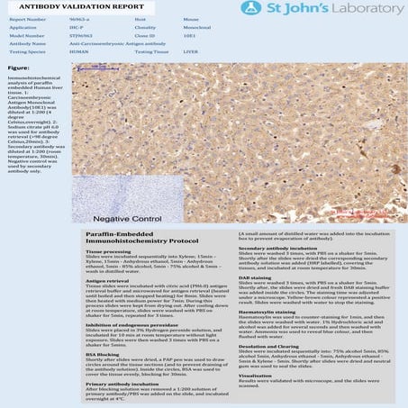 IHC protocols.pptx