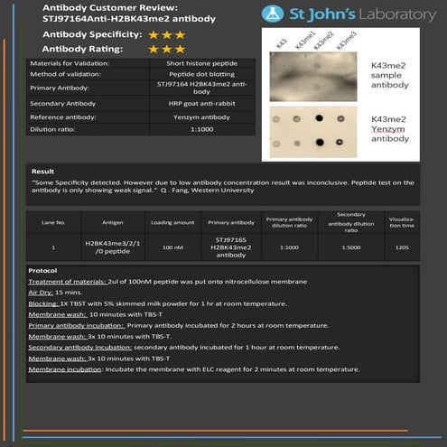 Peptide Dot Blotting Customer Review for Anti-Histone H2B (Di Methyl Lys43) Antibody (STJ97164 ...