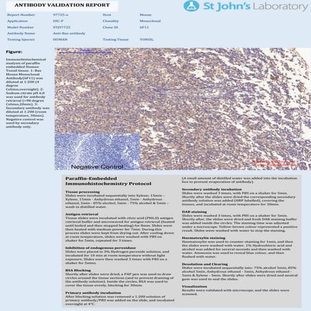 Immunohistochemistry Antibody Validation Report for Anti-Bax Antibody ...