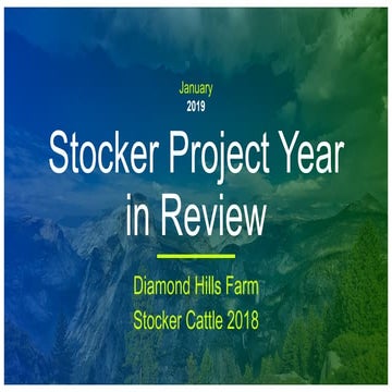 Stocker Cattle for Beginners | PPTX