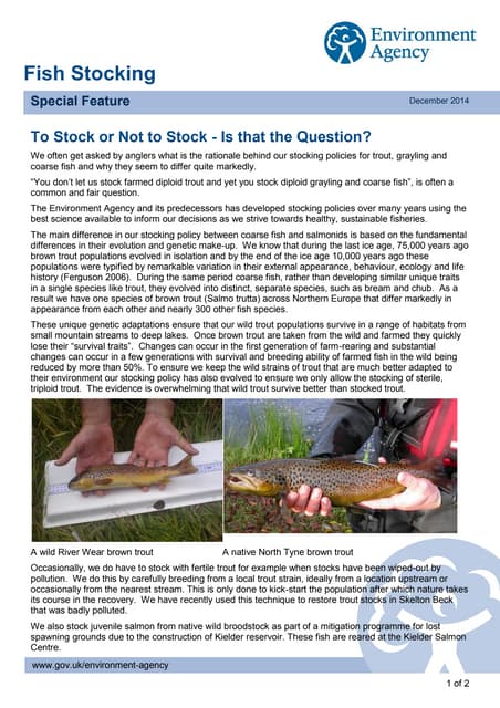 Forage Fish and the Puget Sound Food Web, a Science Cafe presentation | PPT