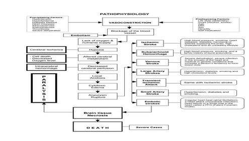 Intracerebral Hemorrhage Pathophysiology