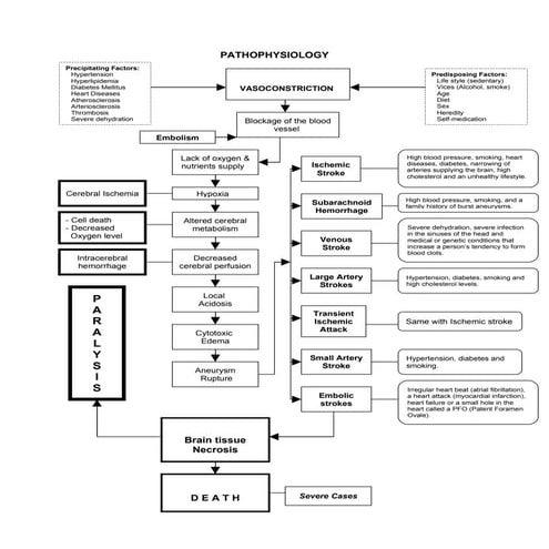 Schematic Pathophysiology Cva