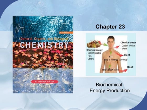 Chem 45 Biochemistry: Stoker chapter 25 Lipid Metabolism | PPT