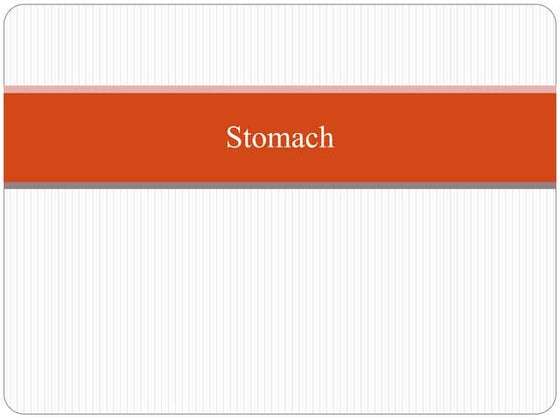 Pancreas anatomy and functions | PPT