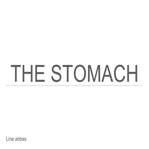 Stomach | PPT
