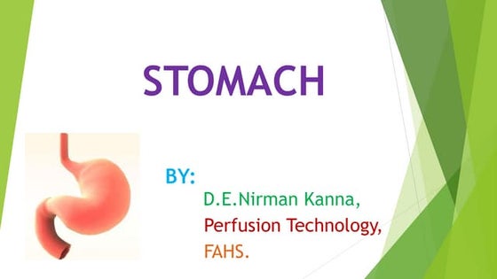 Stomach | PPTX
