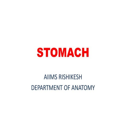 general features and microstructure of stomach ppt | PPT