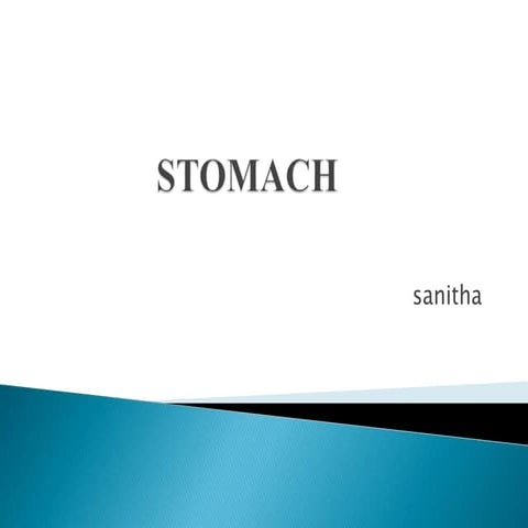 STOMACH. Anatomy and physiology. PPT pptx | PPTX