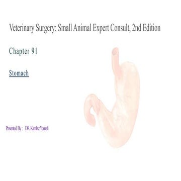 Basic of Small Animals Stomach Surgery | PPTX