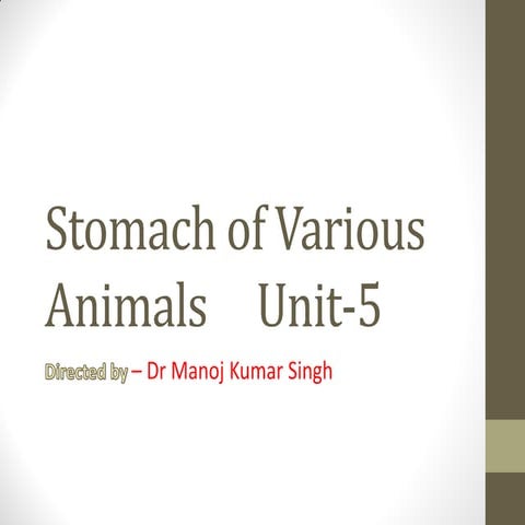 Veterinary Anatomy of the Monolocular Stomach | PPTX