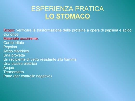 Mappa Concettuale Stomaco | PPT