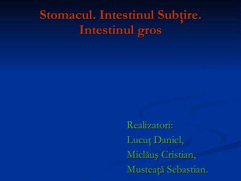 Stomacul, Intestinul Subtire, Intestinul Gros