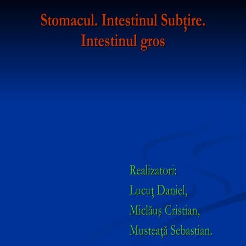 Stomacul, Intestinul Subtire, Intestinul Gros | PPT