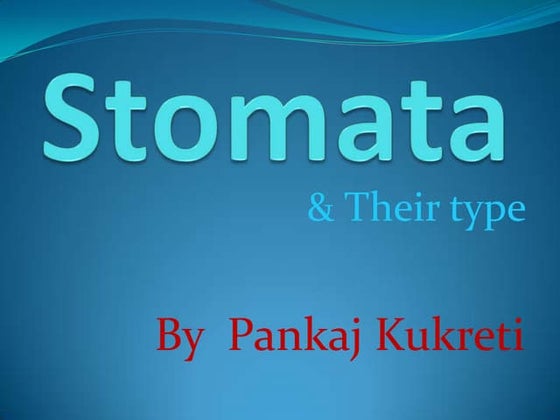 Types of stomata | PPT
