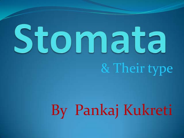 Types of stomata | PPTX