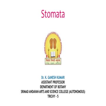 Types of stomata | PPTX