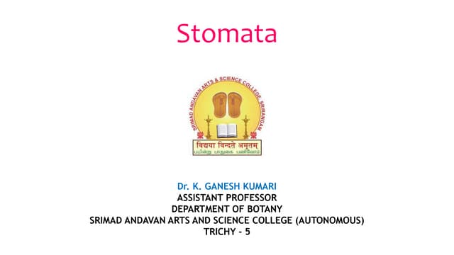 Types of stomata | PPTX