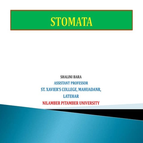 Stomata ppt | PPTX