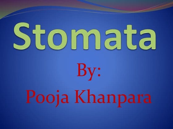 Types of stomata | PPTX