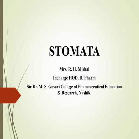 Stomata Types.pptx | Gardening | Home & Garden