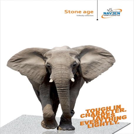 Stone age fullbody collection | PDF