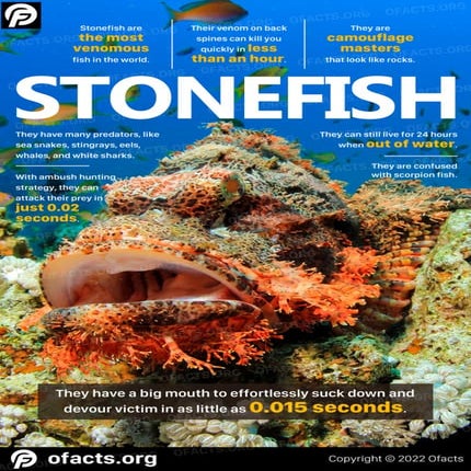 Stonefish facts | PDF