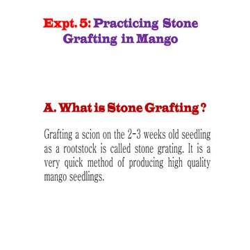 Stone Grafting level 4 semester II i.pdf