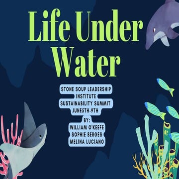 Life Under Water: UNSDG #14 | PDF