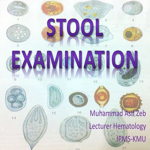 Stool examination.pptx