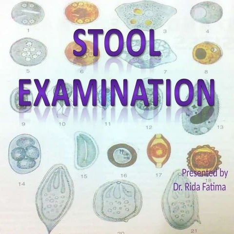 Stool Examination.pptx clinical pathology | PPT