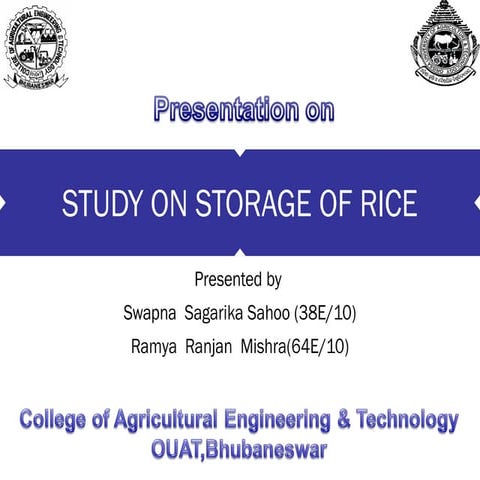 Storage of rice ppt | PPT