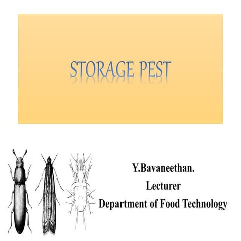 Storage pest management | PPTX