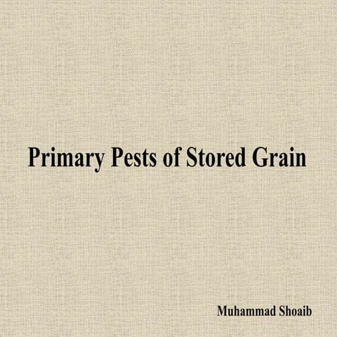 Stored grain pests | PPTX