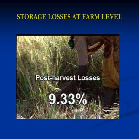 Stored grains.ppt