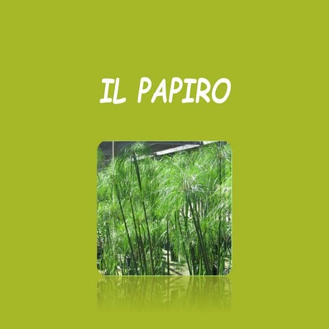 Storia del papiro | PDF