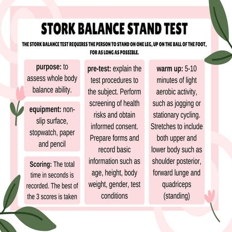 Stork Balance Stand Test | PDF