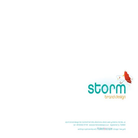 Storm Brand Design | PDF