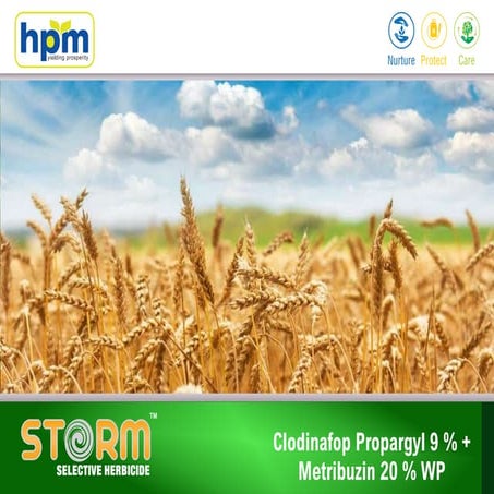 HPM Storm | PPT