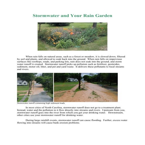 Stormwater and Your Rain Garden | DOC