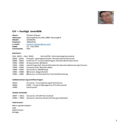 Stort cv dk | DOCX