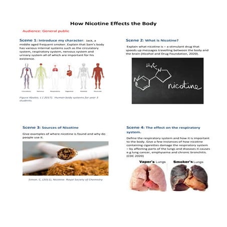 Story board nicotine effects | PDF