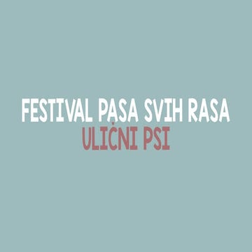 Festival pasa svih rasa - Ulični psi | PPT