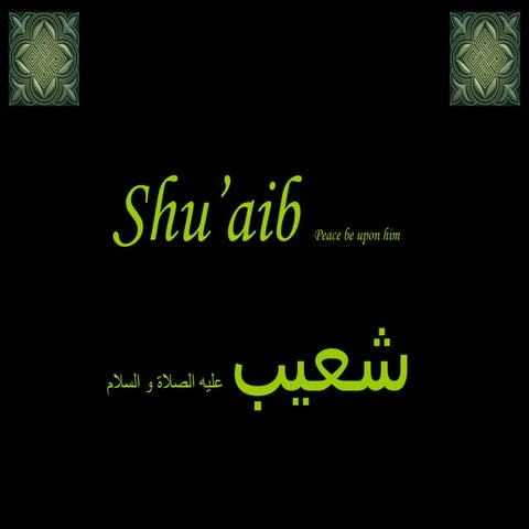 Story Of Shuaib | PPS