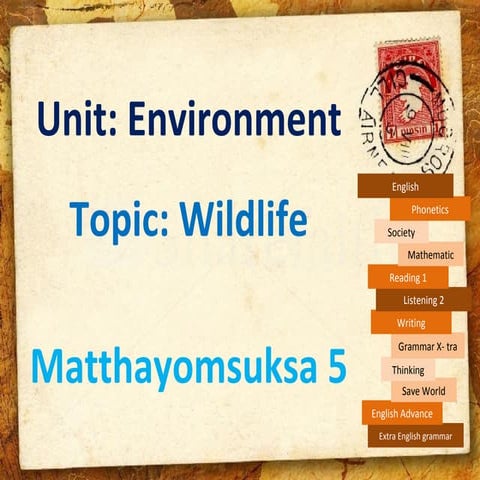 Story telling (okapi) by Arthit Wiangsima | PPT