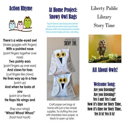 Story Time: All About Owls | PPT